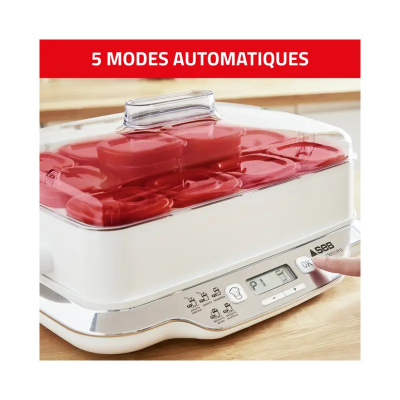 Yaourtière Seb Multi délices Express 12 pots Rouge YG661500